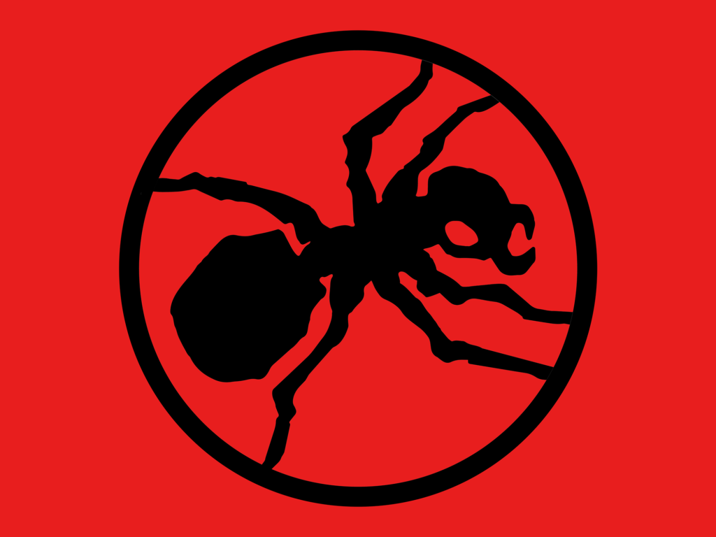 THE PRODIGY · Handsome Tours